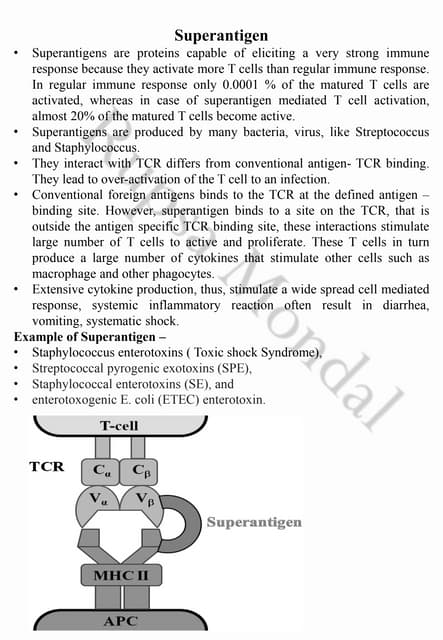 Superantigen | PPTX