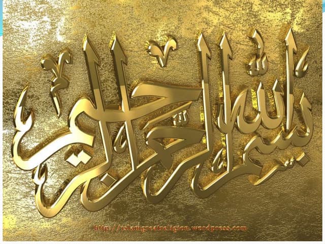 Superficial reflexes | DOC