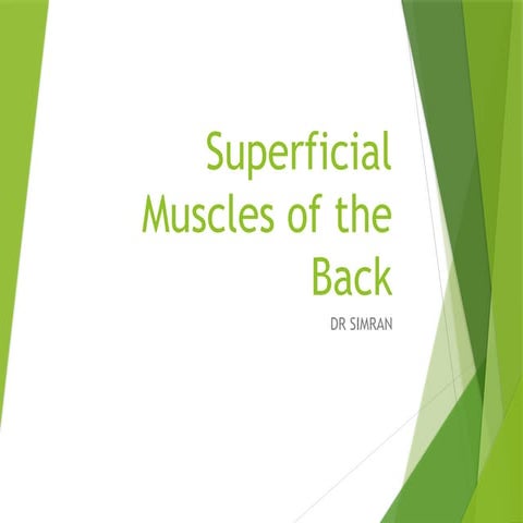 Superficial_Back_Muscles_Presentation[1].pptx