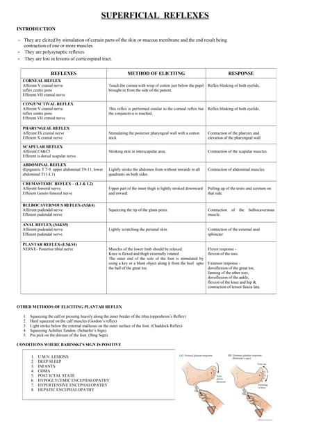 The Pulse And Deep Tendon Reflex Grading Scale Ppt