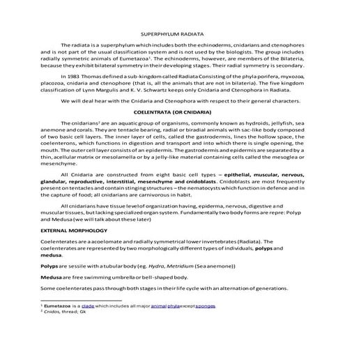 Superphylum radiata | PDF