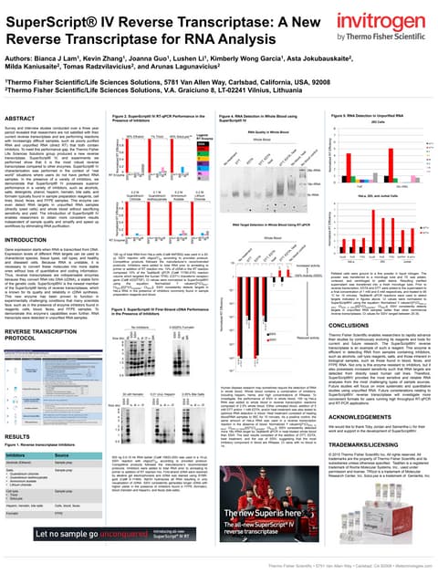 TUDCA Protects Retinal Pigment Epithelial cells | PPT