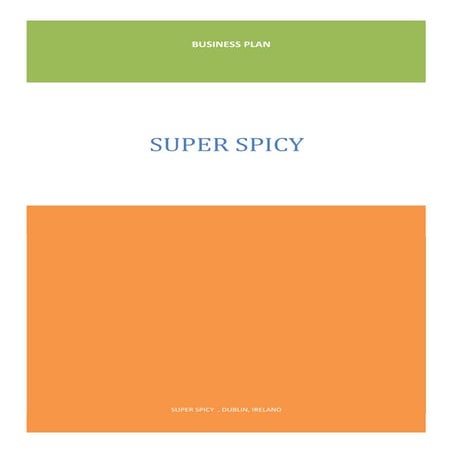 Super Spicy Business Plan for busy city | PDF