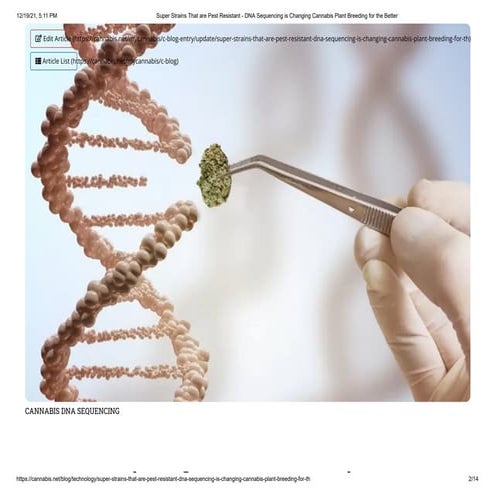 DNA Sequencing to Make Better and Stronger Weed? | PPT