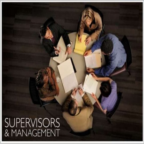 Using the Bells that Ring- systemic model of supervision on the Practice Supervisor Development ...