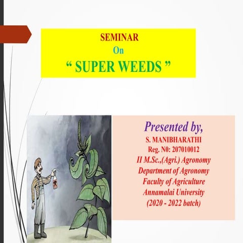 SUPER WEEDS POWER POINT PRESENTATION | PPTX