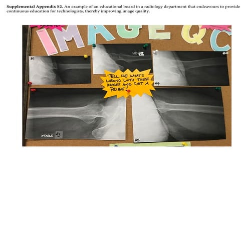 supplemental_appendix_s2.pdf