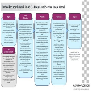 supplementary_logic_model.pdd for healthcare | PDF