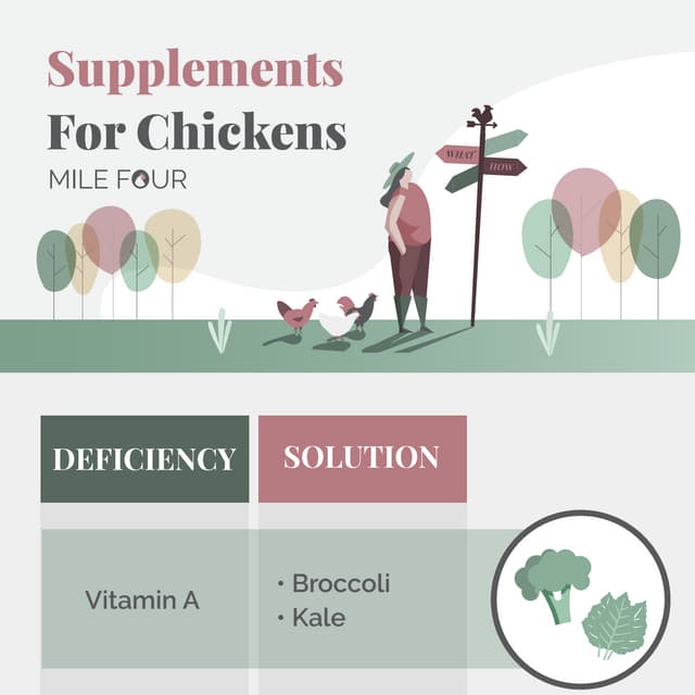 Supplements for chickens | PDF