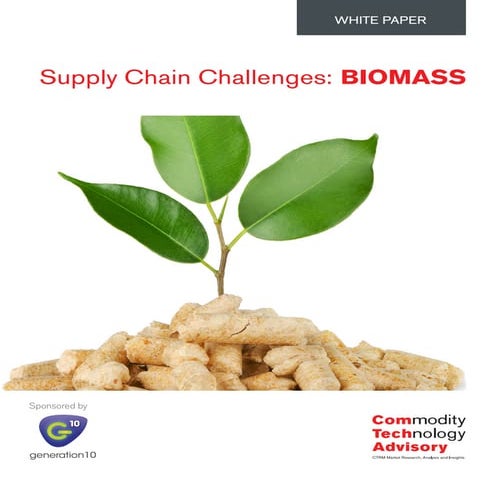 Supply Chain Challenges: BIOMASS | PDF