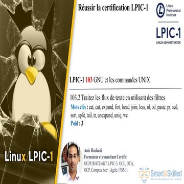 Support formation vidéo : Réussir la certification Linux LPIC-1 (2) | PPT