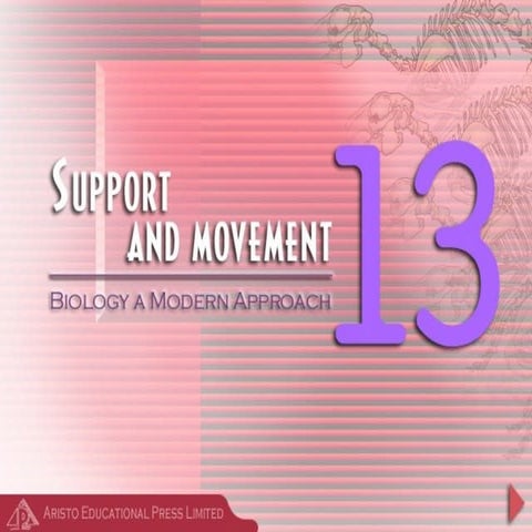 Support and movement form 2 | PPT