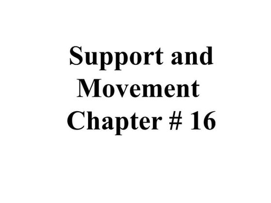 Edexcel IGCSE - Human Biology - Chapter 07 - Form & Movement | PDF ...