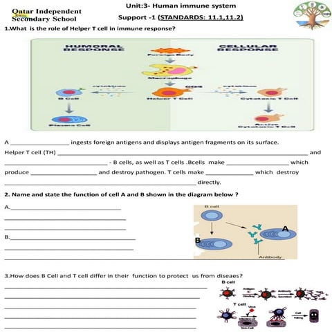 Support Worksheets | PDF