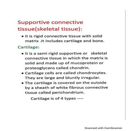 Supportive connective tissue | PDF