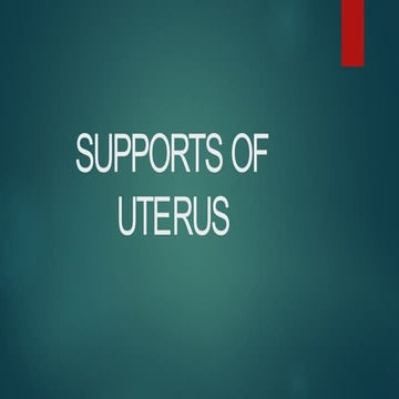supports of uterus, prolapse class1.pptx
