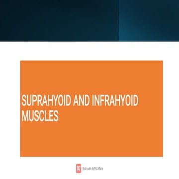 Suprahyoid and Infrahyoid Muscles of neck.pdf