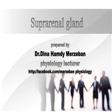 Suprarenal gland dr dina | PPTX