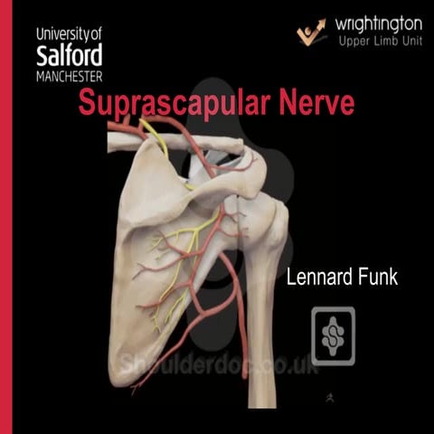 Suprascapular nerve entrapment