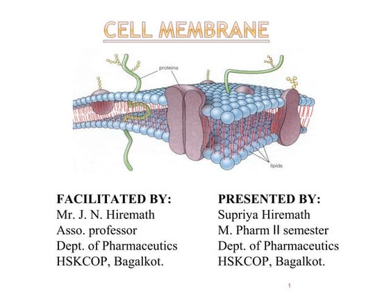 Plasma membrane( fluid mosaic model)ppt. | PPTX | Chemistry | Science