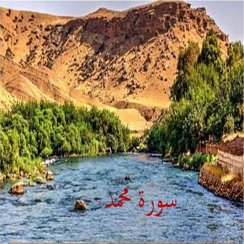 Surah Mohammad 2021 Urdu | PPTX