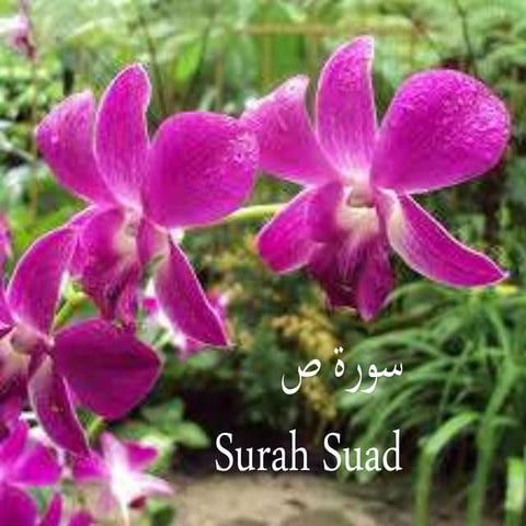 Surah Suad 2021 JTQ English | PPT