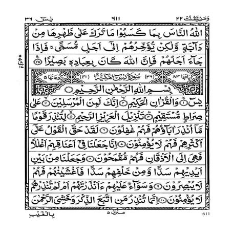 Surah ya-seen.. | PDF