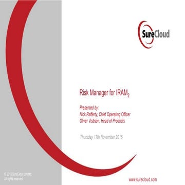 [Risk] Risk Manager for IRAM2 Application | PPT