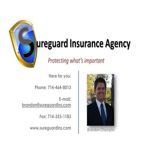 Sureguard Insurance | PPTX | Internet | Computing