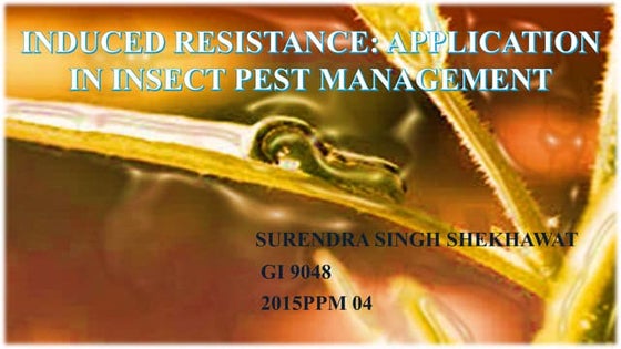 TRITROPHIC INTERACTIONS IN INSECT PESTS OF RICE | PPTX | Gardening ...