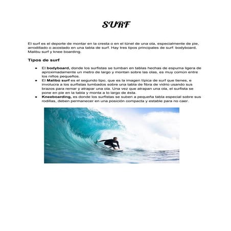 El surf | PDF