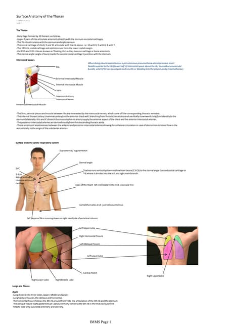 Surface anatomy | PPT