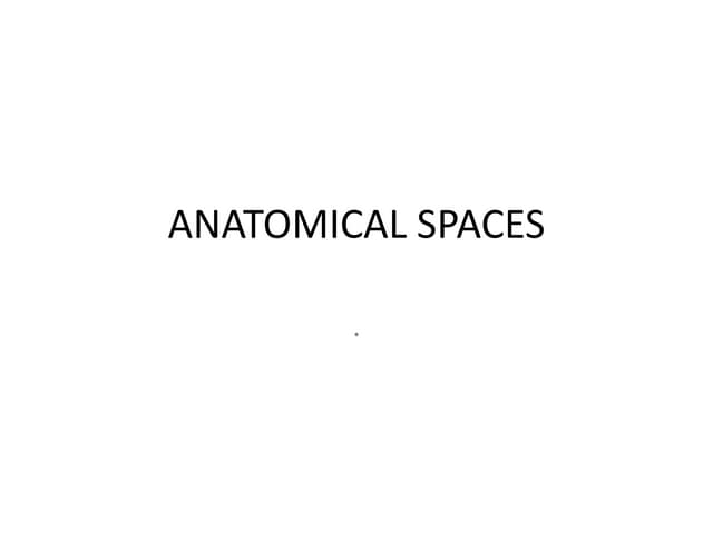 Axillary fossa_12.7.23.pptx