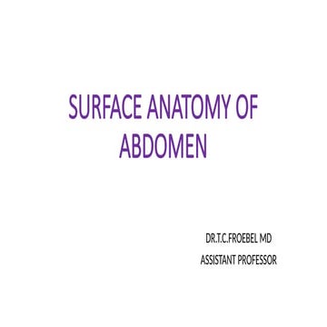 SURFACE ANATOMY OF ABDOMEN and pelvis ppt | PPTX