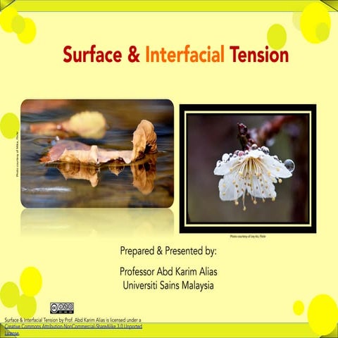 Surface and interfacial tension | PDF
