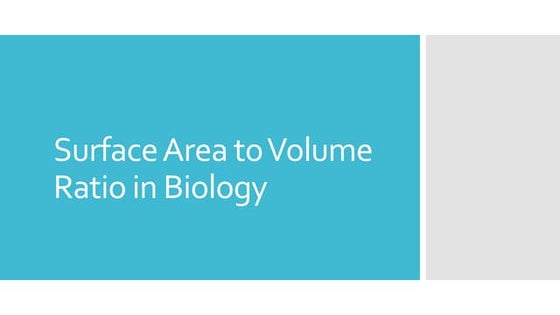 Surface area to volume ratio | PPT