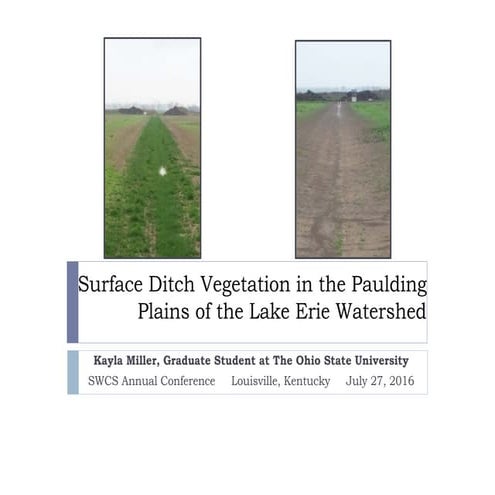 Surface ditch vegetation lake erie watershed miller | PDF