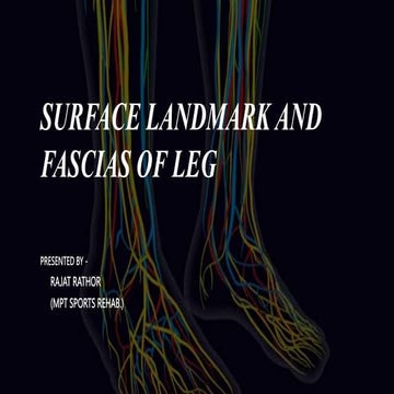FASCIAL COMPARTMENTS OF THE LEG presentation | PPTX