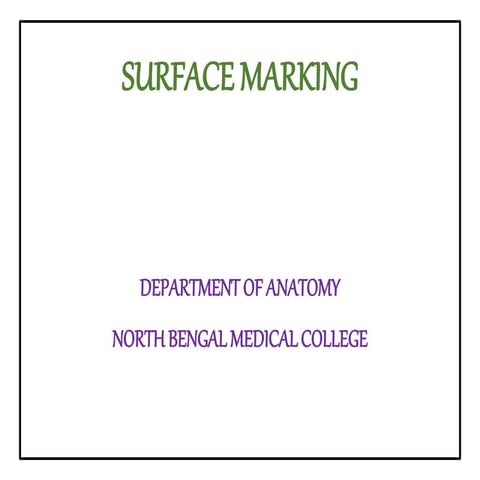 SSURFACE MARKING OF LOWER LIMB.pptx