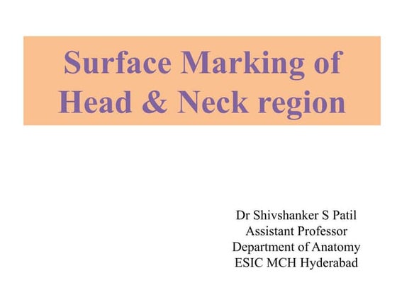 Surface marking lower limb | PPTX | Death, Injury, or Military Conflict ...