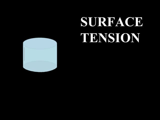Surface Tension - Class XI CBSE | PPTX