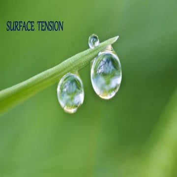 Surface Tension for Beginners | PPTX