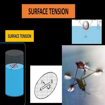 surface tension 1.pptx science hub | tsh | PPTX