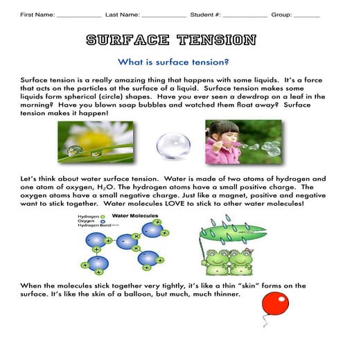 Surface tension lab 2012 | PDF
