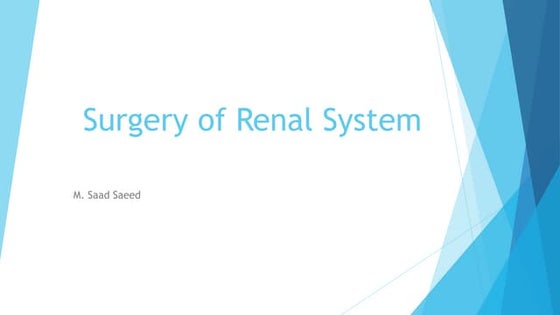 Nephrectomy | PPT | Surgery | Medical Health