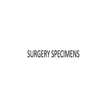 Surgery Specimjskskskskkskskskskens final_240315_121319.pdf