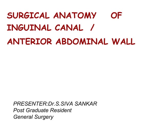 Surgical Anatomy Of The Inguinal Canal Ppt