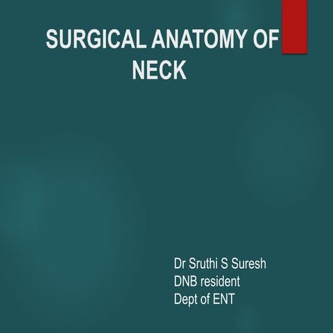 Presentation1.pptx, radiological anatomy of the neck. | PPTX