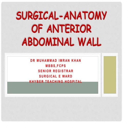 Surface marking radiology abdomen