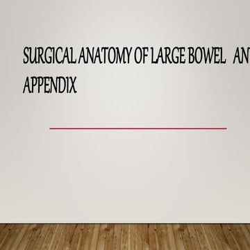 surgical anatomy of large bowel and appendix.pptx